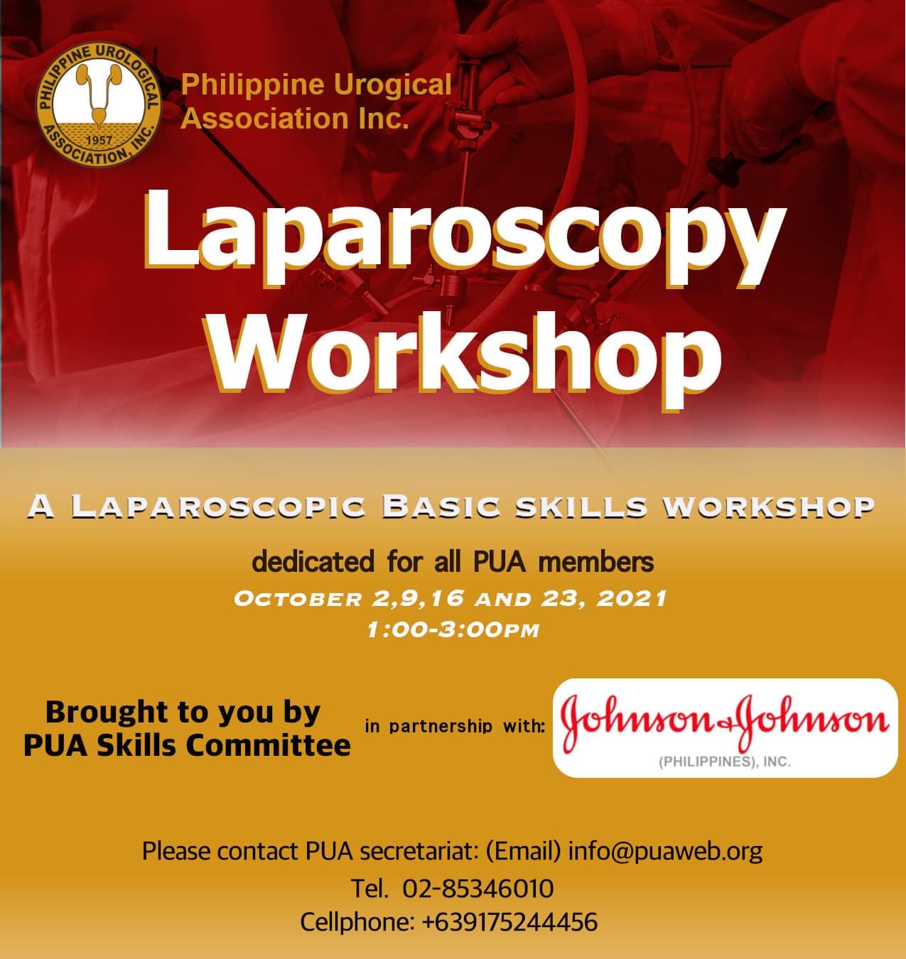 Philippine Urological Association Inc Skills Committee Laparoscopy Philippine Urological Association Inc Skills Committee Laparoscopy